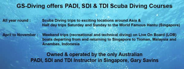 Diving in and around Singapore with GS-Diving - GS-Diving