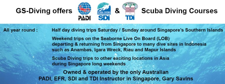 GS-Diving ex Singapore 2015 Scuba Diving - GS-Diving